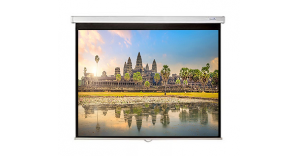 TRUVISION MOTORIZED SCREEN 3 X 3M AUTO REMOTE (MC-S120MC)