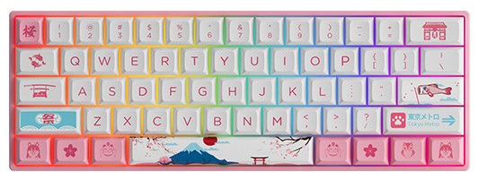 AKKO WORLD TOUR TOKYO 3061 R2 HOTSWAP RGB